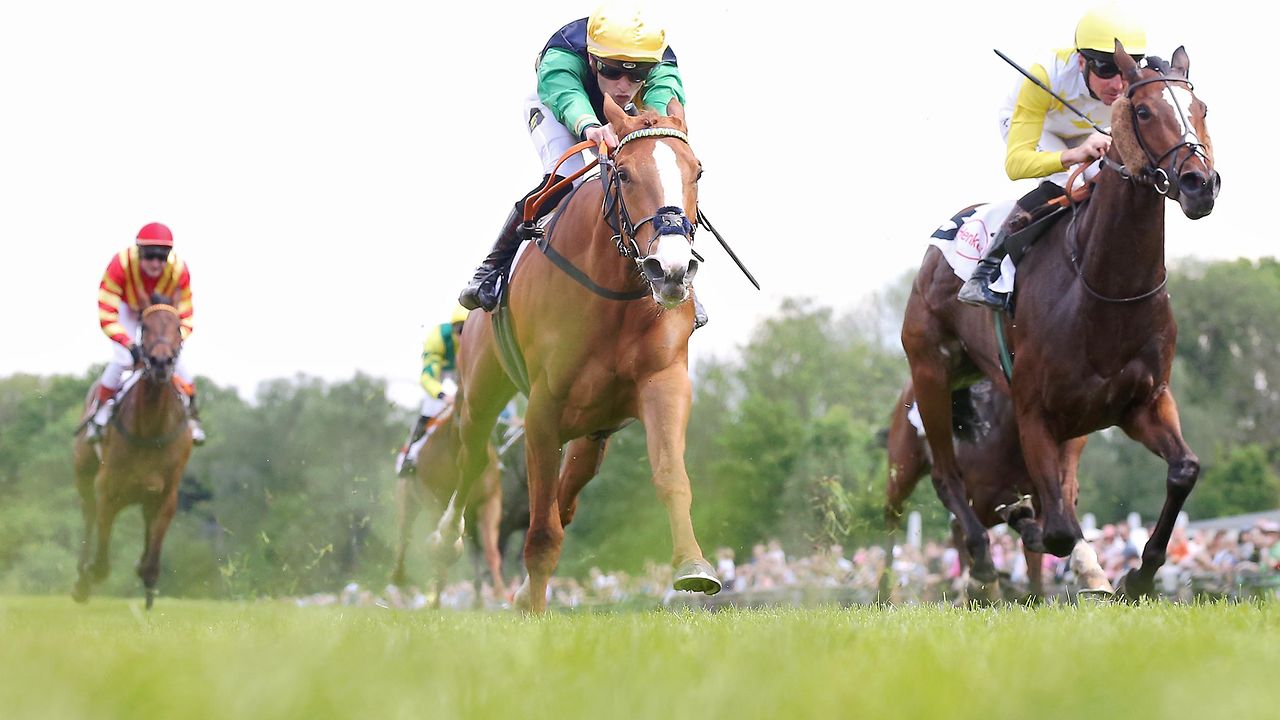 Henkel-Stutenpreis 2023- Platz 1 für Muskoka